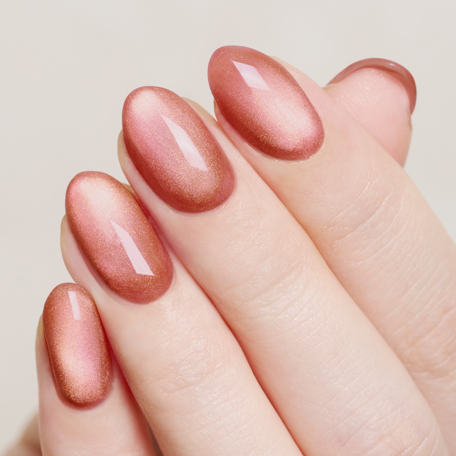 New | D-UP 公式通販 – D-UP ONLINE SHOP